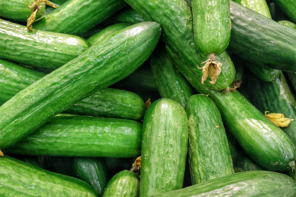 Vacker hud med Gurka - Grön Skönhet